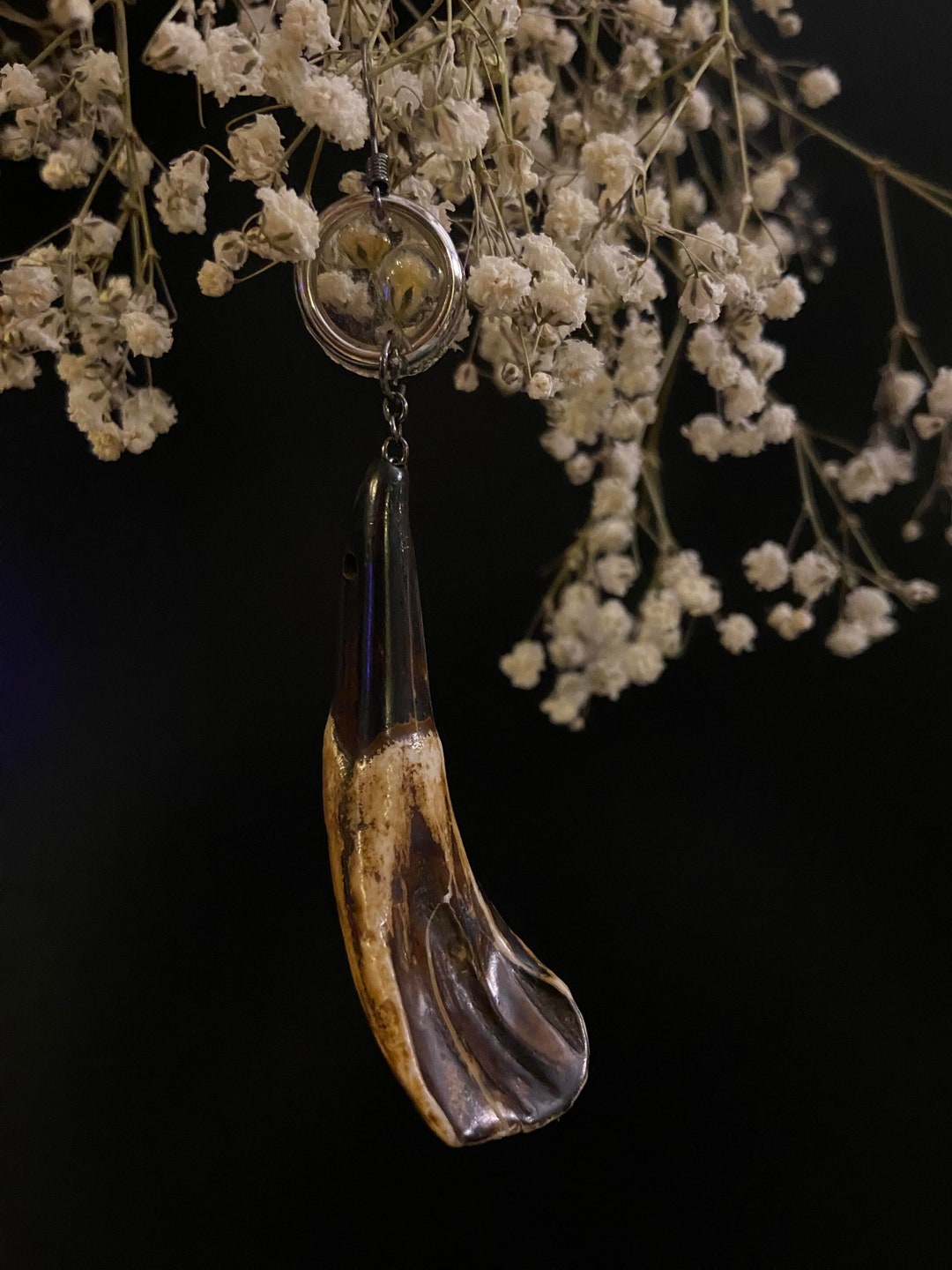 Real Buffalo Teeth Taxidermy With Real Dried Flowers in Resin Earrings ...