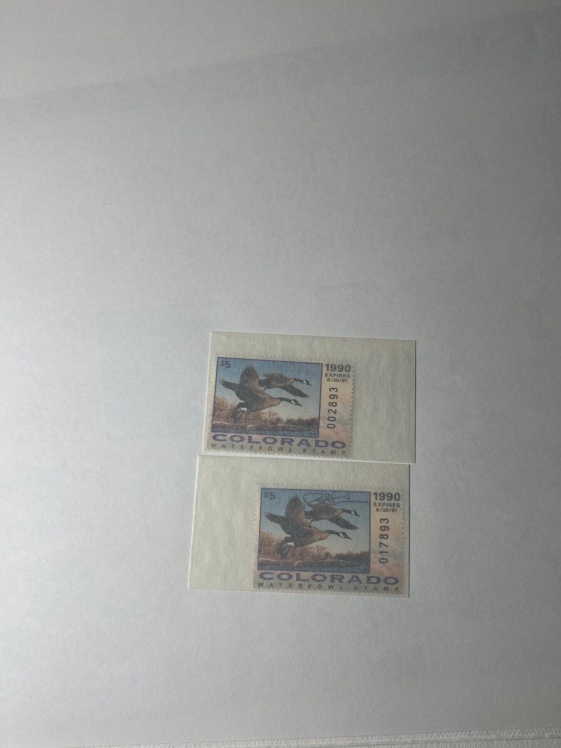 1990 Colorado Duck Stamp Print Set – Robert Steiner Signed, LE #2893/ ...