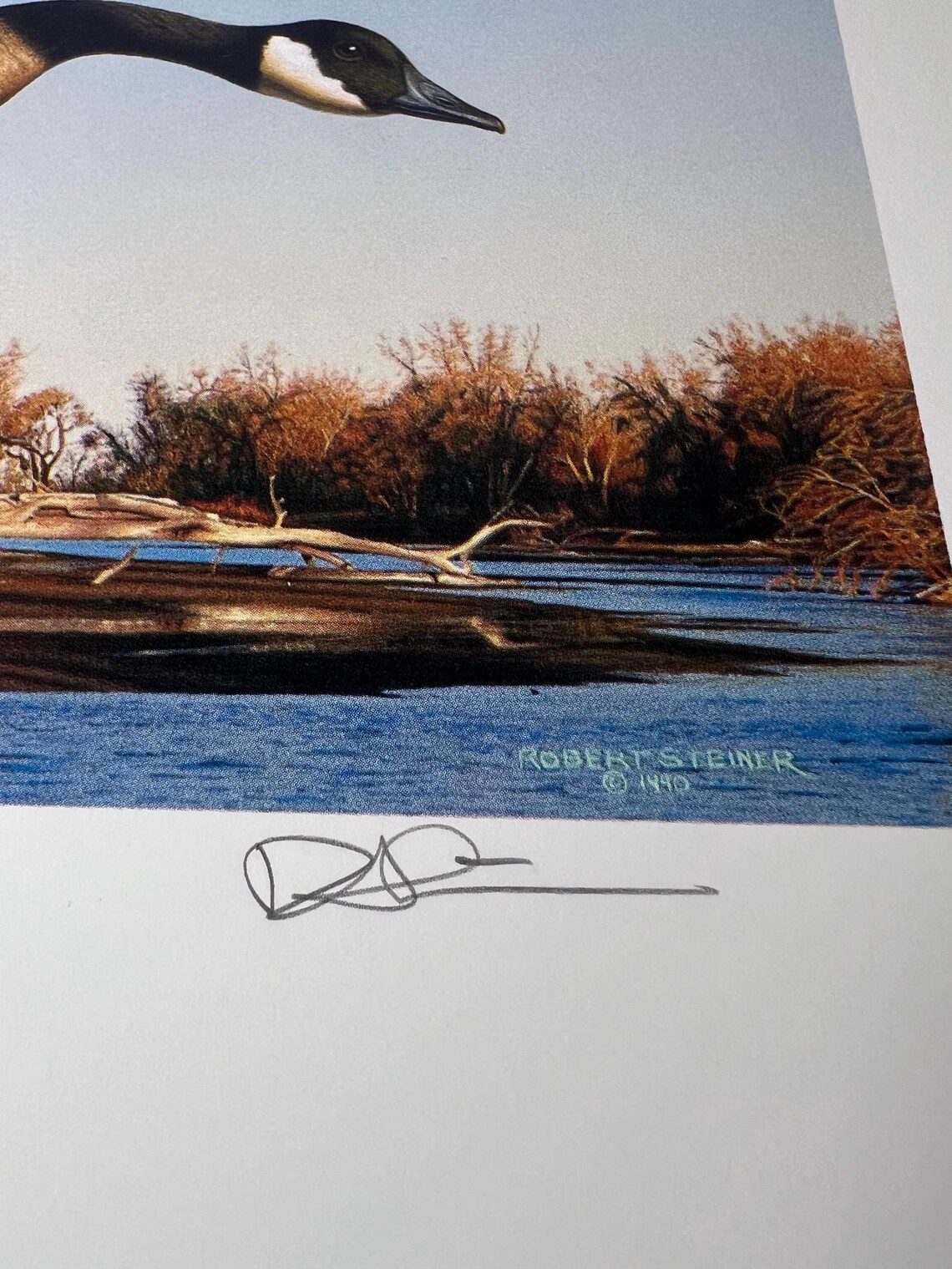 1990 Colorado Duck Stamp Print Set – Robert Steiner Signed, LE #2893/ ...