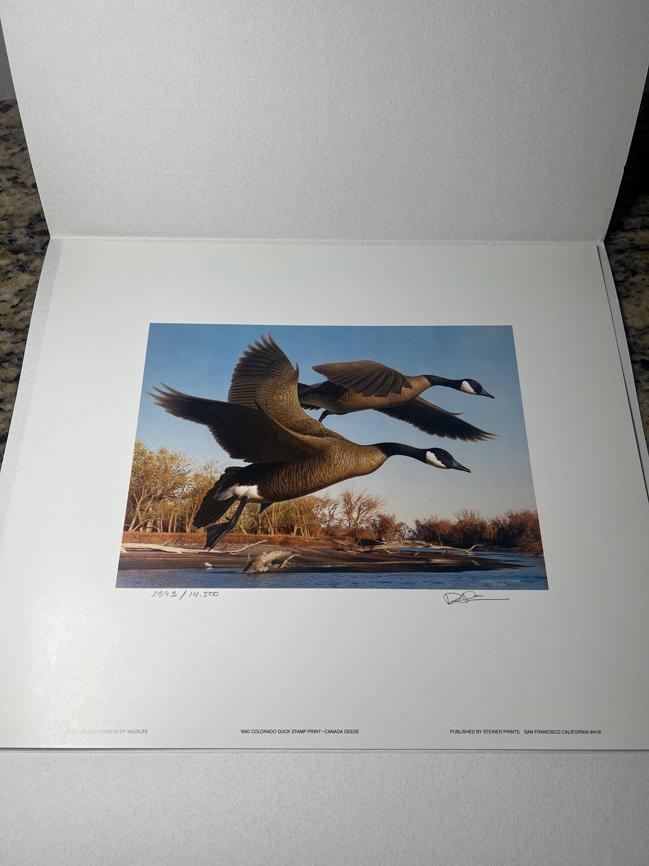 1990 Colorado Duck Stamp Print Set – Robert Steiner Signed, LE #2893/ ...