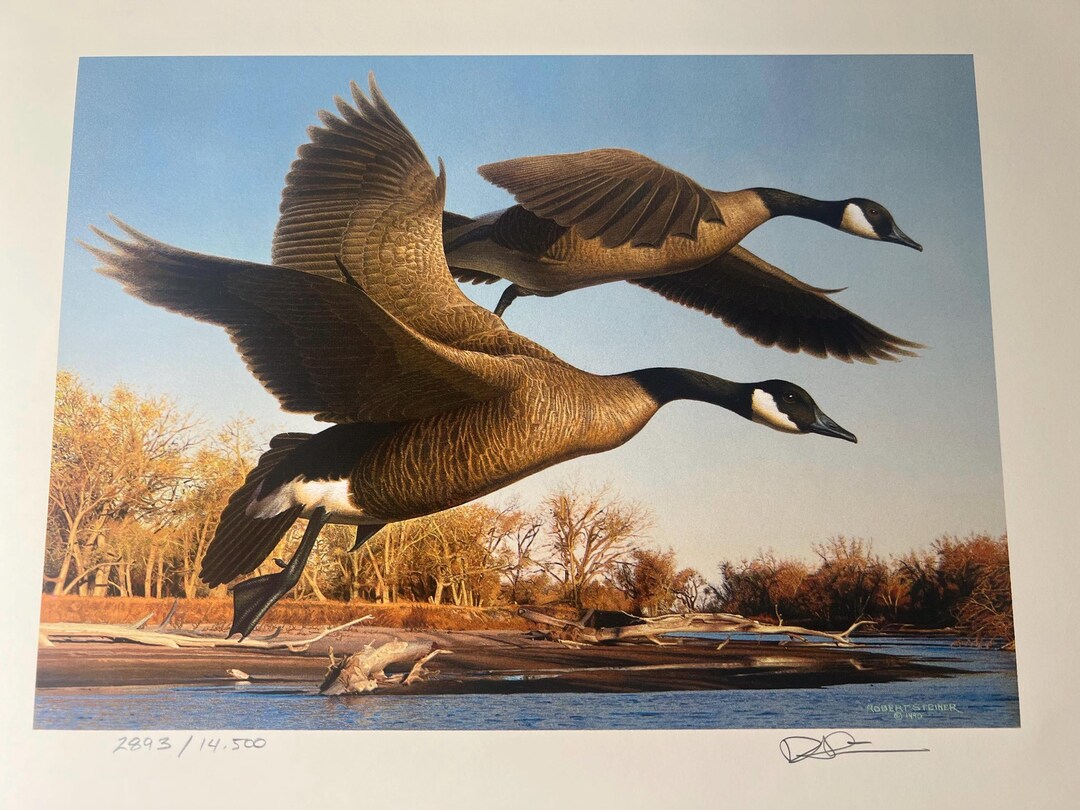 1990 Colorado Duck Stamp Print Set – Robert Steiner Signed, LE #2893/ ...