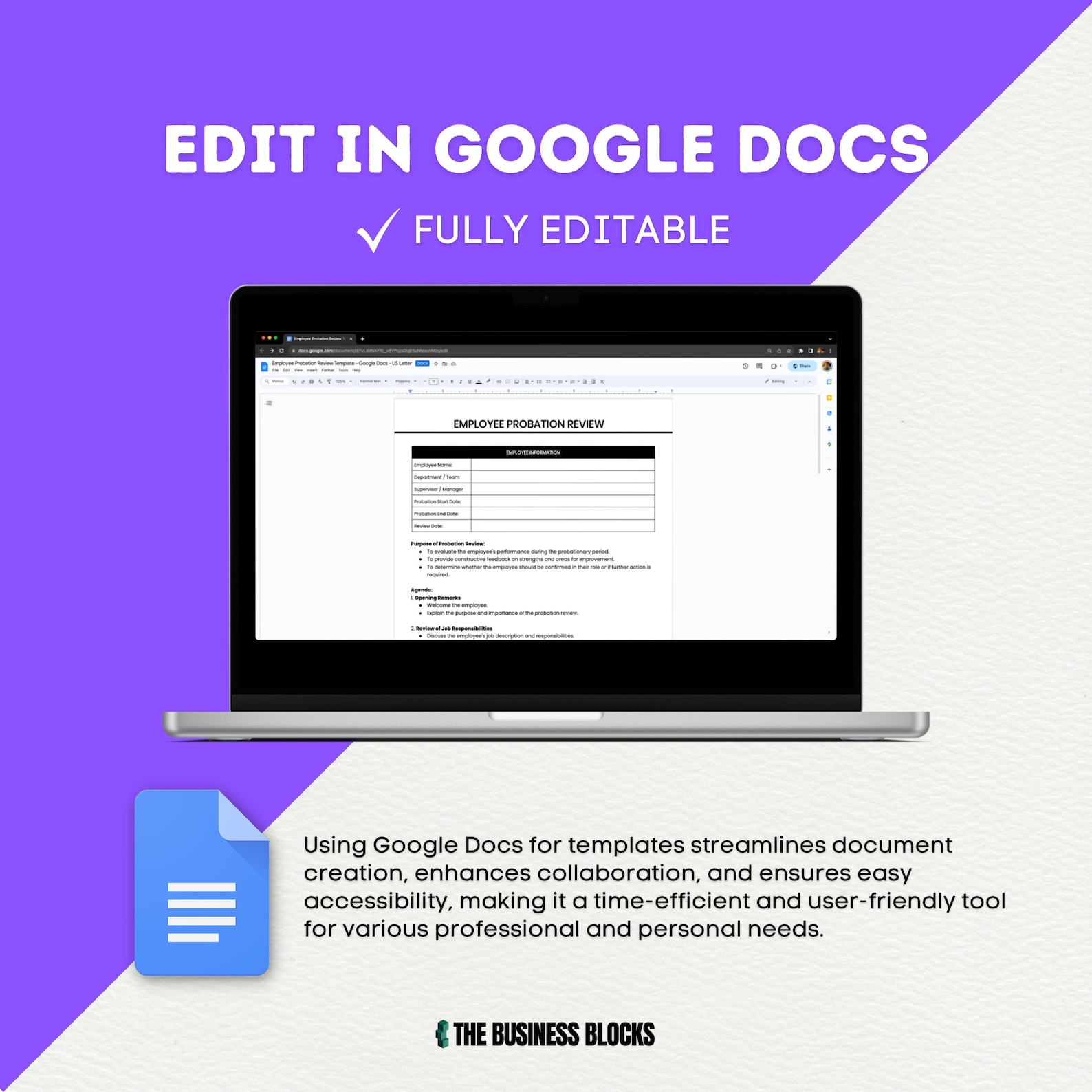 Employee Probation Review Template: HR Performance (google Docs, MS ...