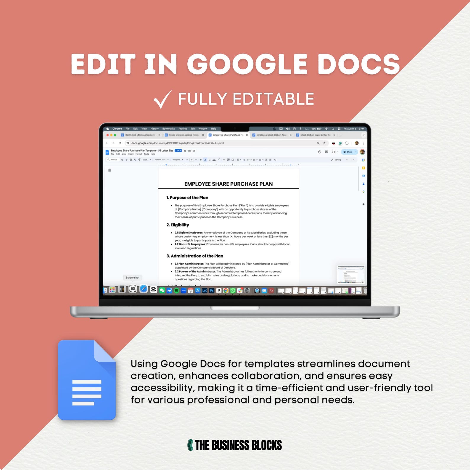 Employee Share Purchase Plan Template: Customizable Equity Plan (google ...