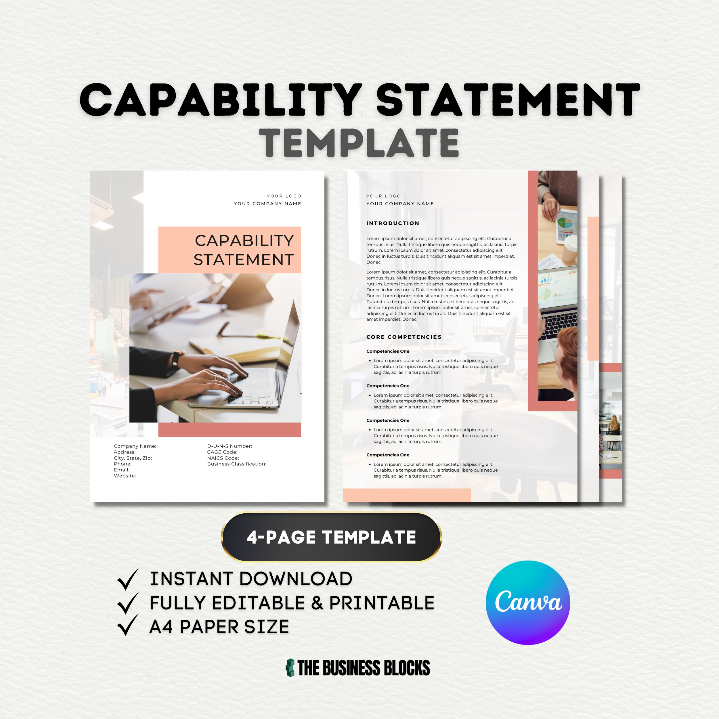 Capability Statement Template Corporate Business Capability Statement ...
