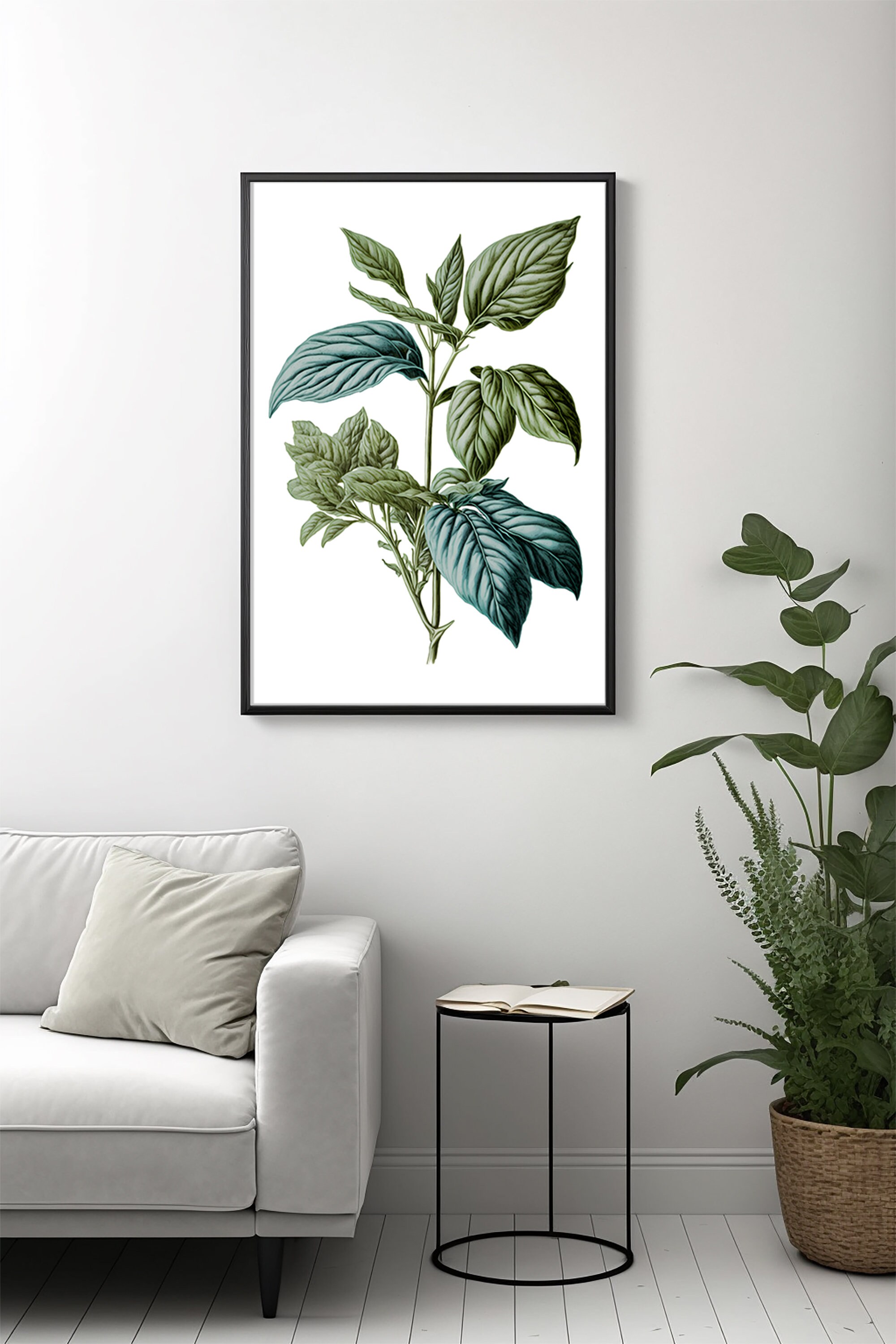 Basil Plant, Botanical Poster, Plant Illustration Print, Kitchen Decor ...