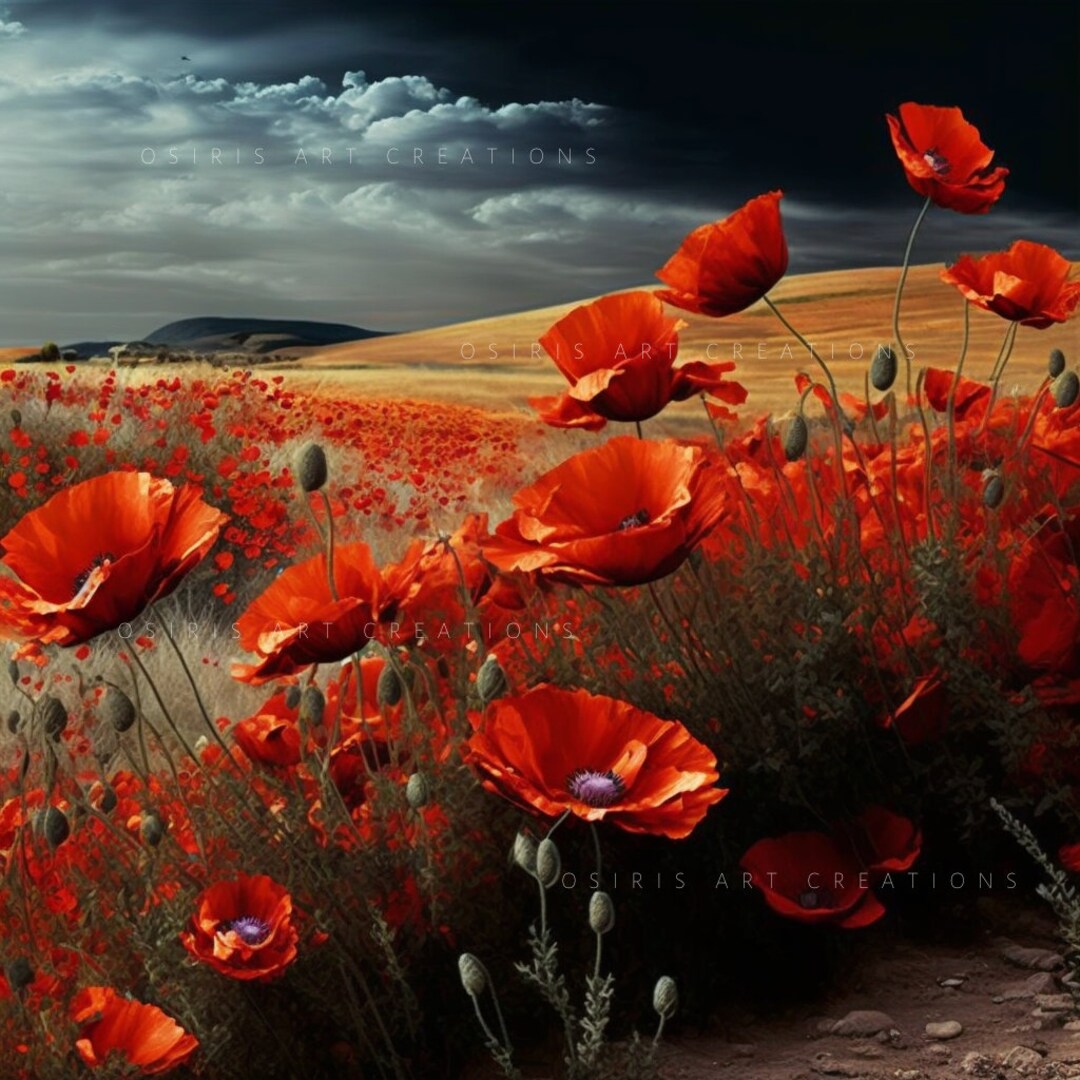 Poppy Field Digital Art Printable Art Instant Download Digital - Etsy