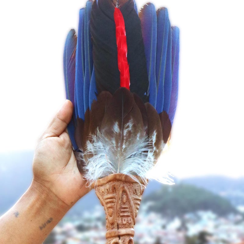 Eagle Feather Smudge - Etsy