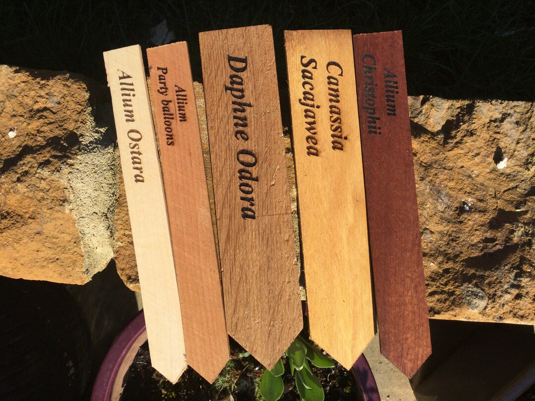 Five, Personalised, Hardwood Plant Labels - Etsy