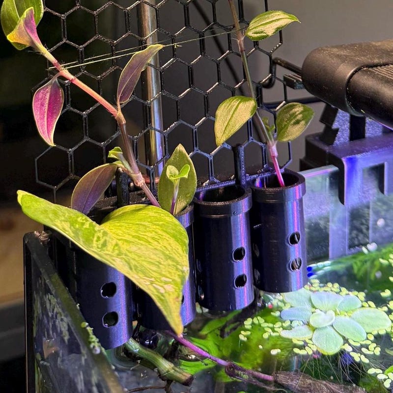 Pendant Light Plants - Etsy Canada