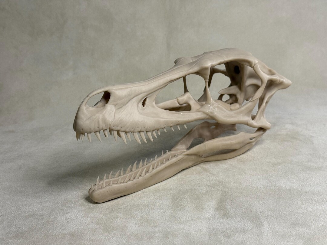 High-resolution Raptor Skull 3D Print – Ultra-detailed Dinosaur Fossil ...