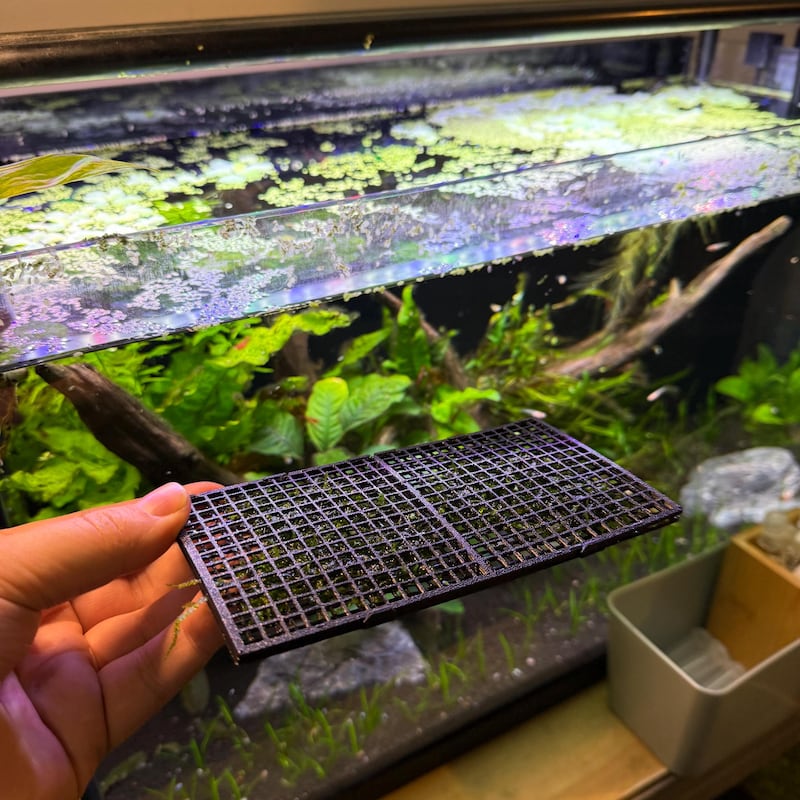 Fish Tank Pad - Etsy UK