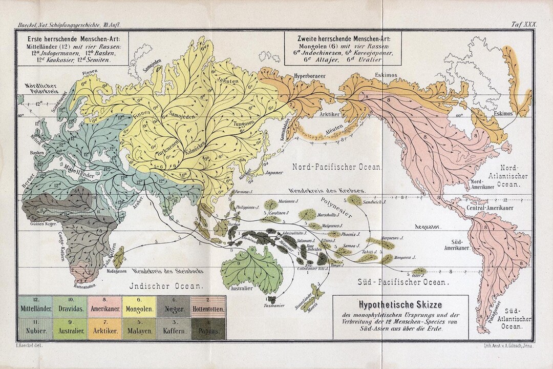 Ernst Haeckel Map of Human Migration | Antique Anthropological Map ...
