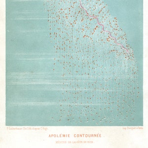 Curved Apolemia (frontispiece) From Le Monde De La Mer (1866) by Alfred ...