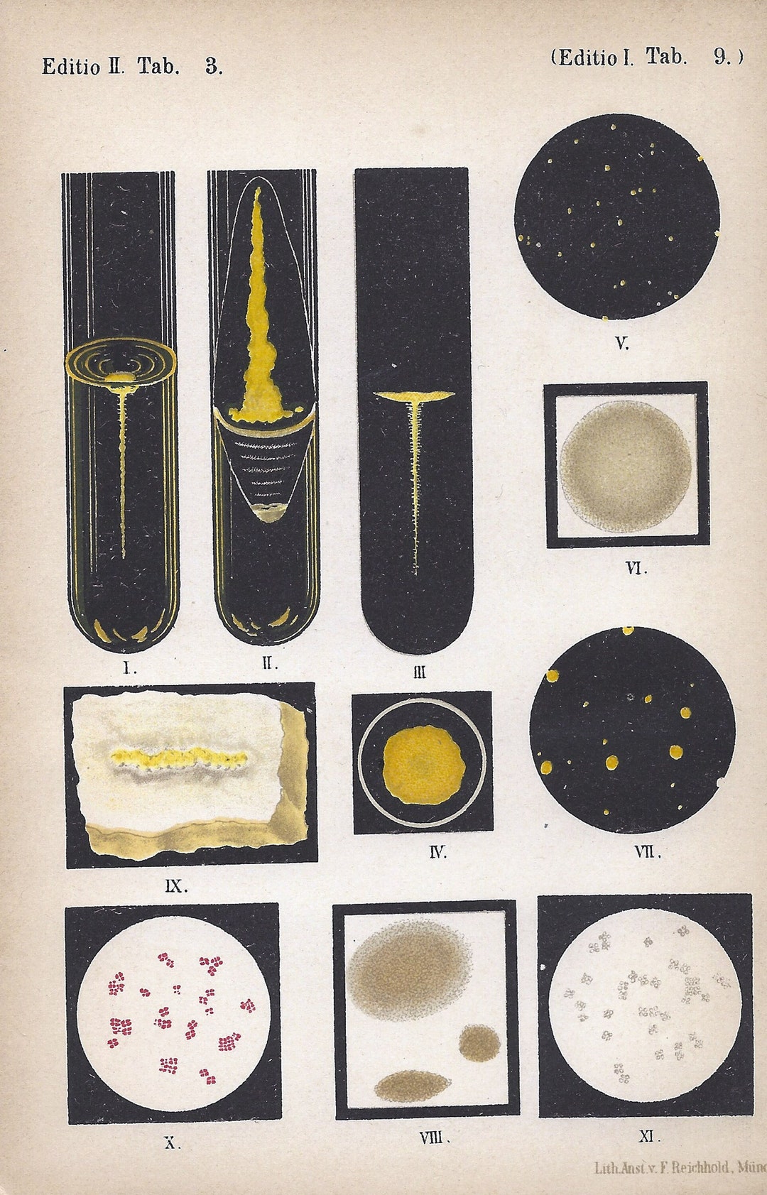 Chemical Reactions and Microscopic Crystals Ca. 1880 Antique Medical ...