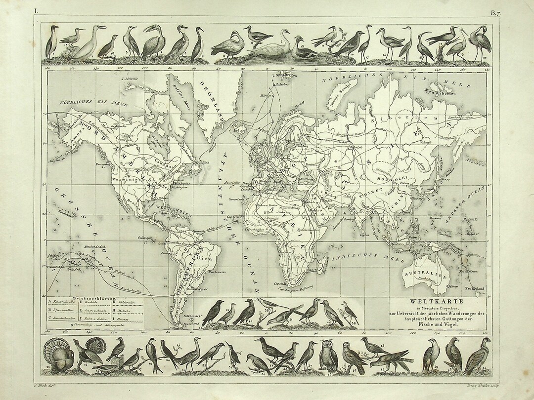 1849 World Map of Bird and Fish Migrations Johann Georg Heck's Bilder ...
