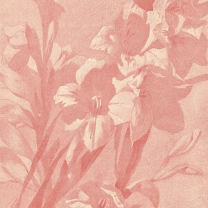 Antique Floral Design Print | Dutch Trade Magazine | Decorative Flower ...