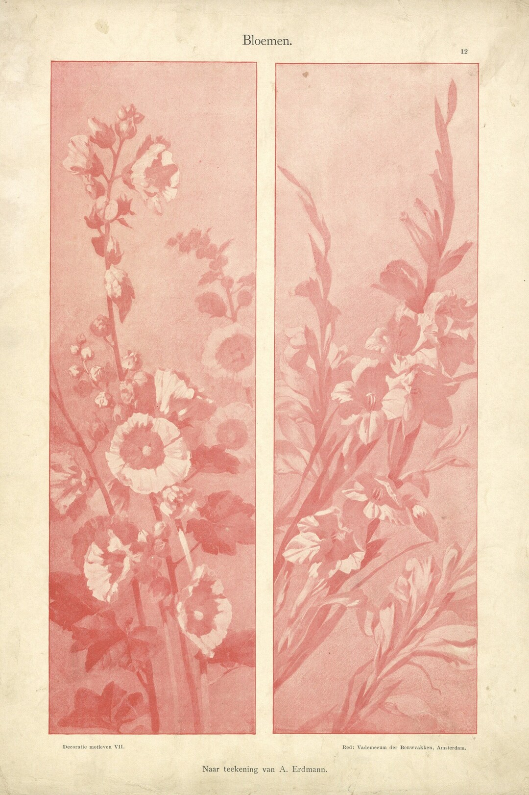 Antique Floral Design Print | Dutch Trade Magazine | Decorative Flower ...