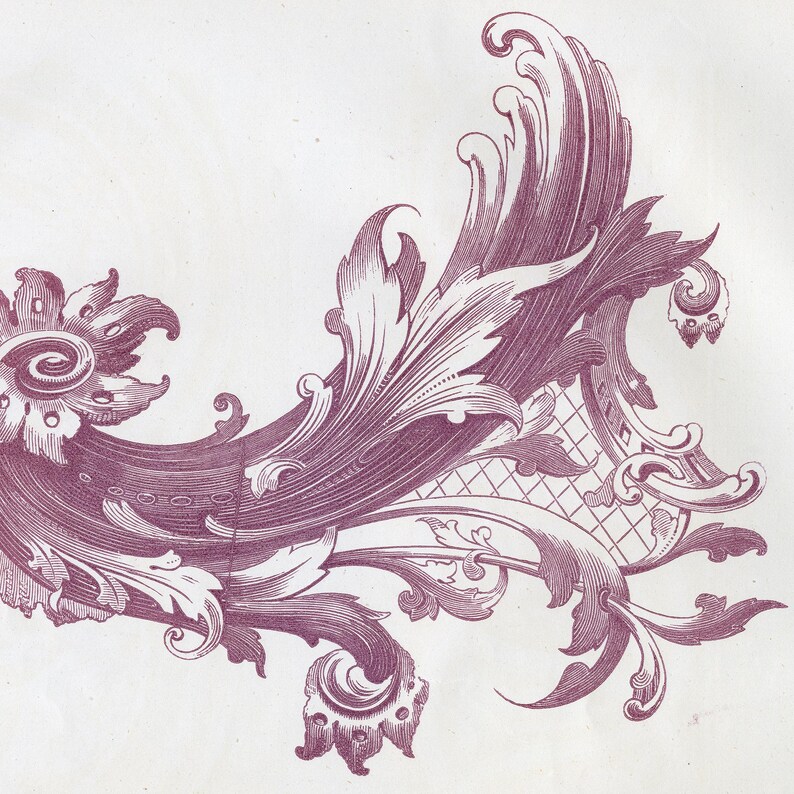 Antique Lithograph - Louis XIV Ornamental Scrollwork With Acanthus and ...
