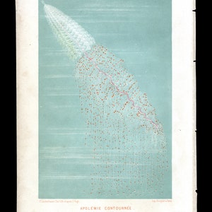 Curved Apolemia (frontispiece) From Le Monde De La Mer (1866) by Alfred ...