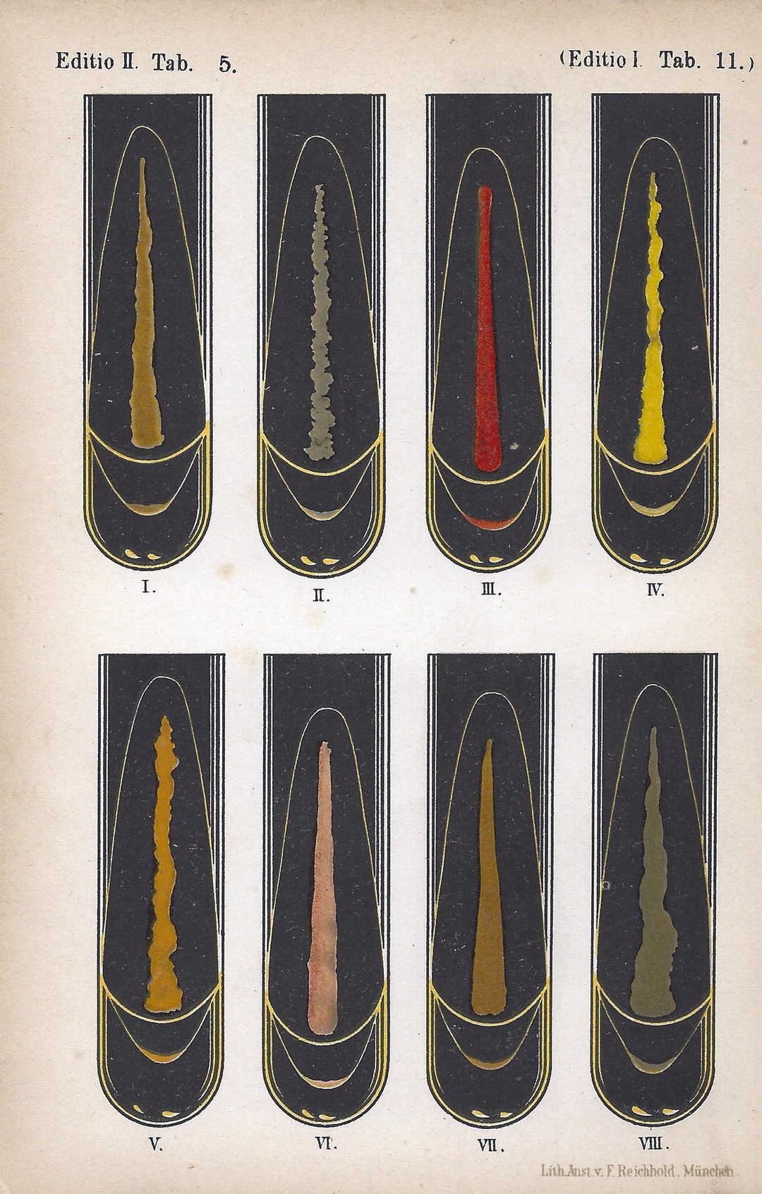 Sarcina Bacteria Variants | 1899 | Vintage Medical Lithograph | Rare ...