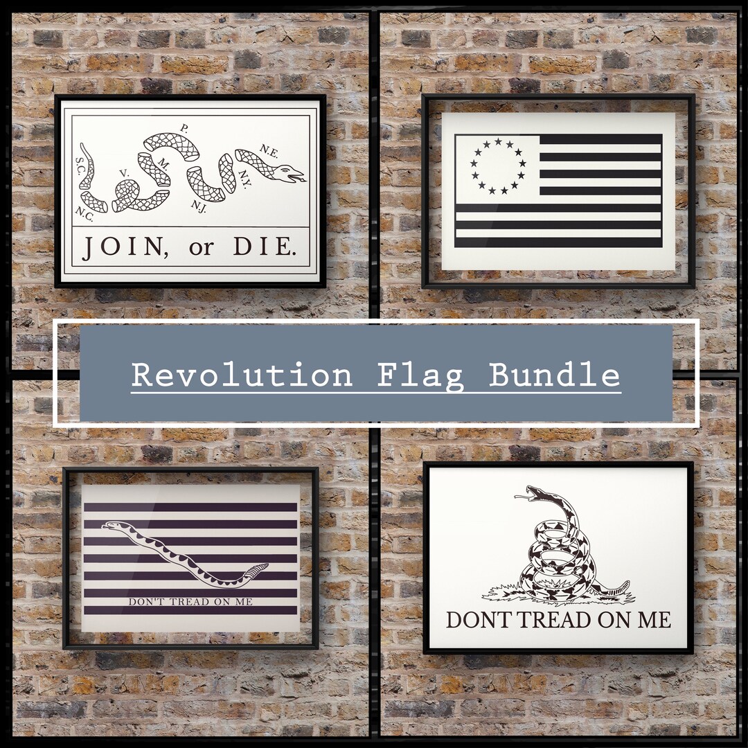 Historic American Revolution Flag and Political Cartoon Digital File ...