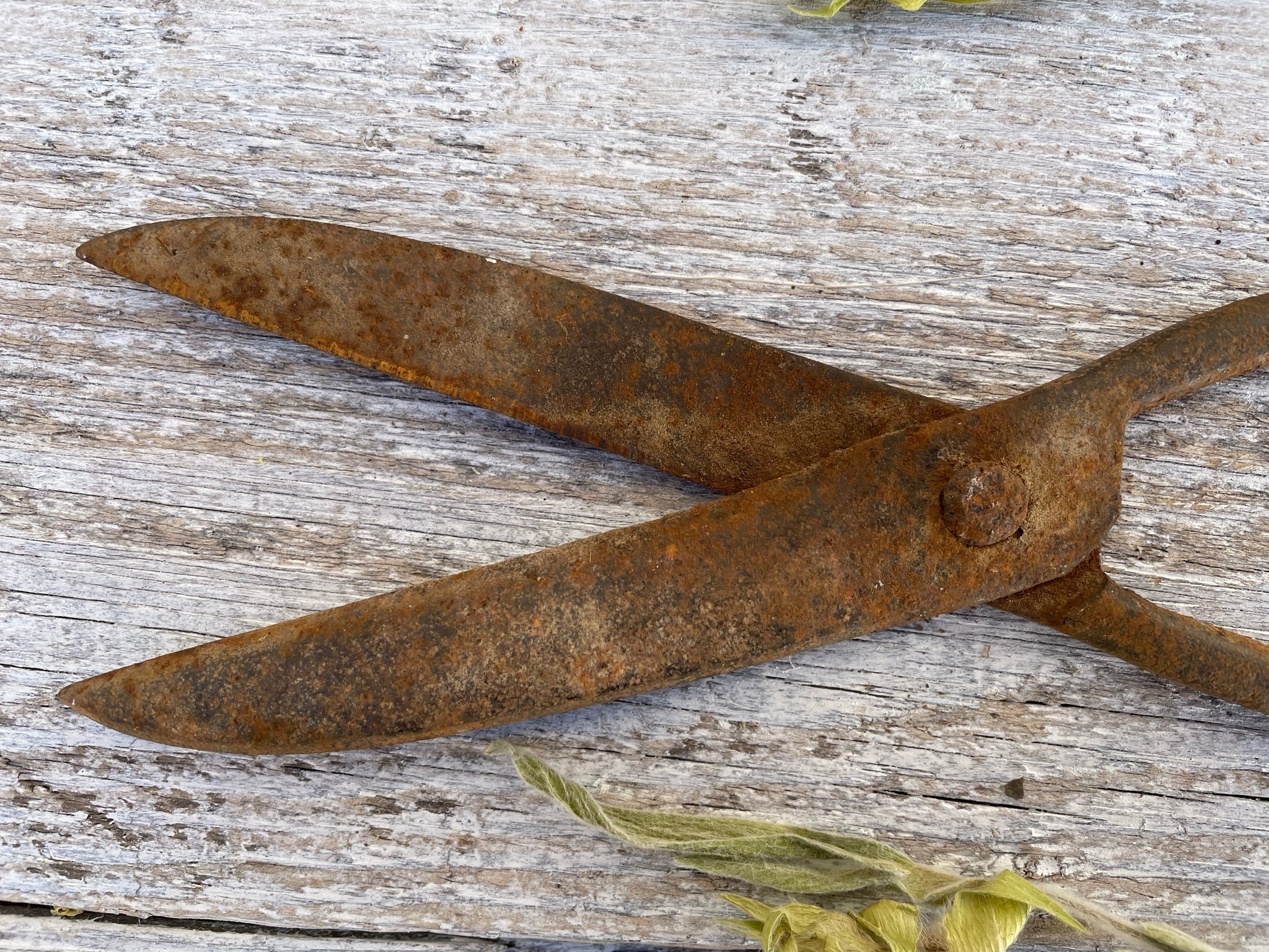 Old Scissors, Antique Metal Scissors, Vintage Scissors, Country ...