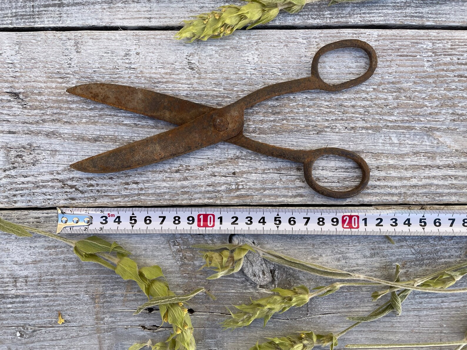 Old Scissors, Antique Metal Scissors, Vintage Scissors, Country ...
