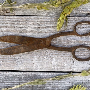 Old Scissors, Antique Metal Scissors, Vintage Scissors, Country ...