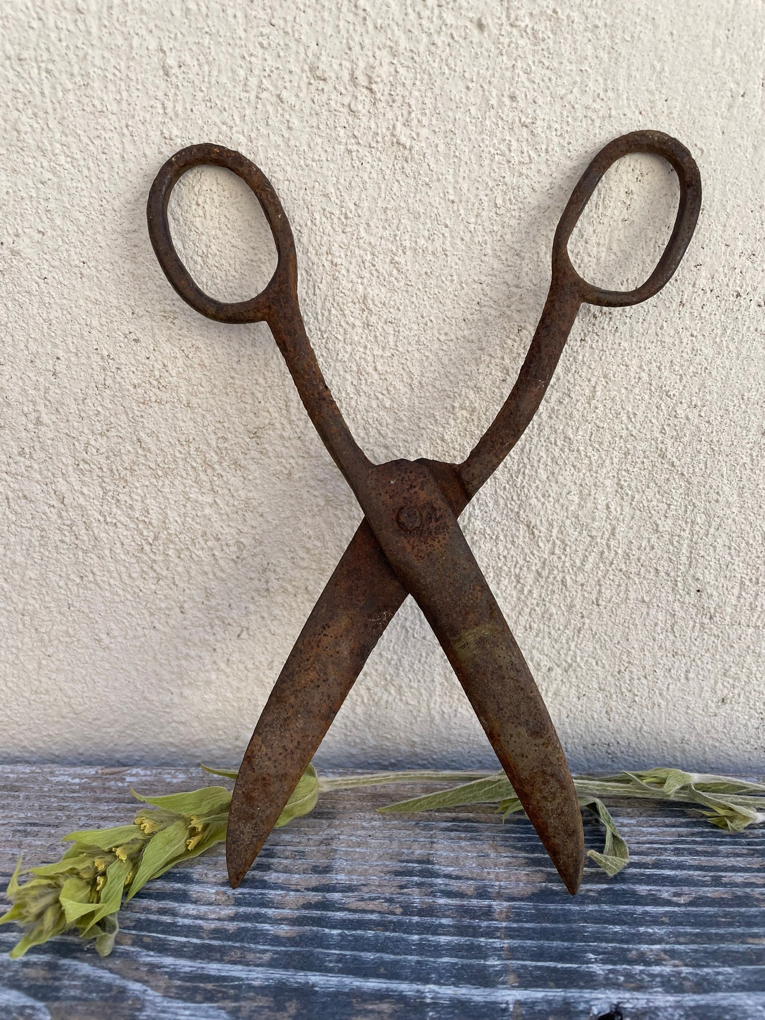 Old Scissors, Antique Metal Scissors, Vintage Scissors, Country ...