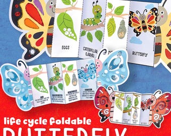 Butterfly Life Cycle Spinner STEM Printable Craft Activity - Etsy