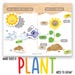 Plant Life Cycle Printable, Sunflower Growth Chart, Preschool Science ...