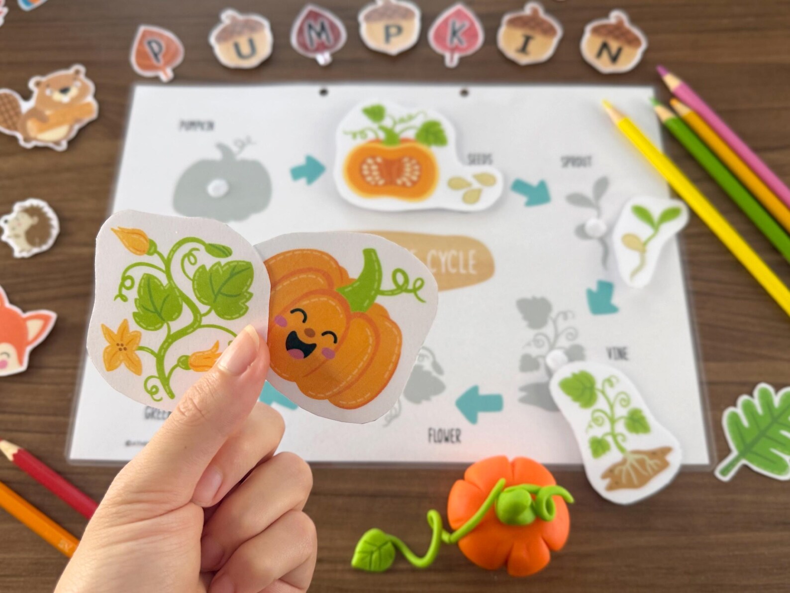 Pumpkin Life Cycle Activity for Kids,fall Preschool Science Printable ...