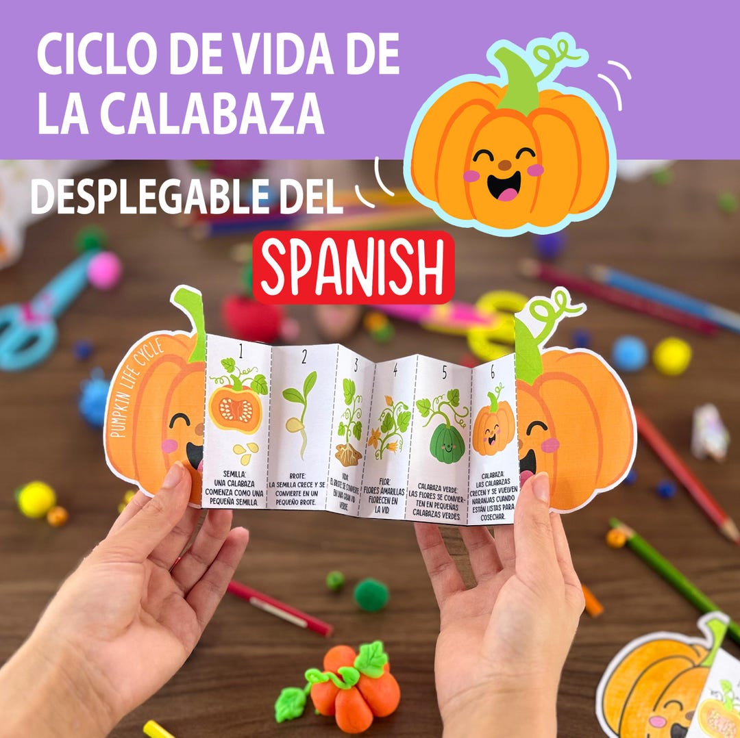 Spanish Pumpkin Life Cycle Craft Printable for Kids, Fall Science ...