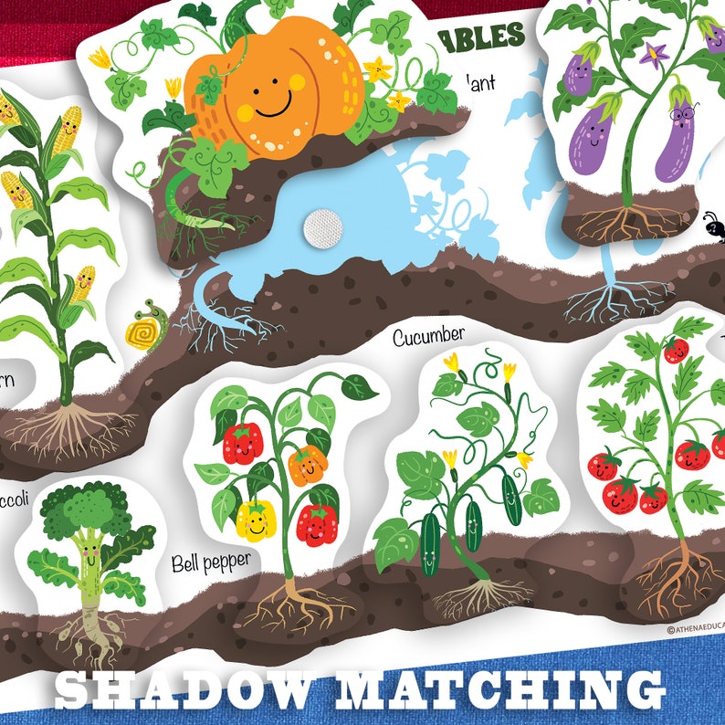 Cute Fruits and Vegetables Sorting Worksheet, Fruits and Vegetable ...