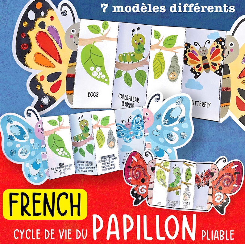 French Butterfly Life Cycle Craft for Kids, Foldable Science Activity ...