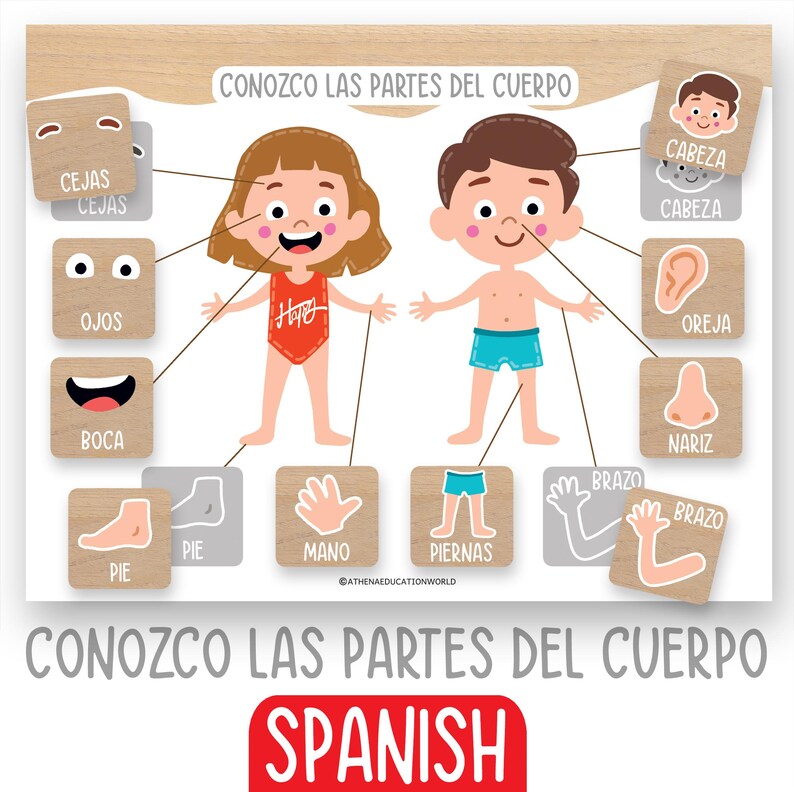 Spanish Body Parts Worksheet,toddler Activity,homeschool Printables ...