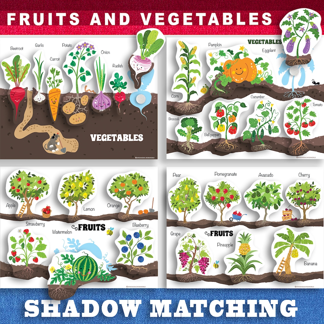 Cute Fruits and Vegetables Sorting Worksheet, Fruits and Vegetable ...