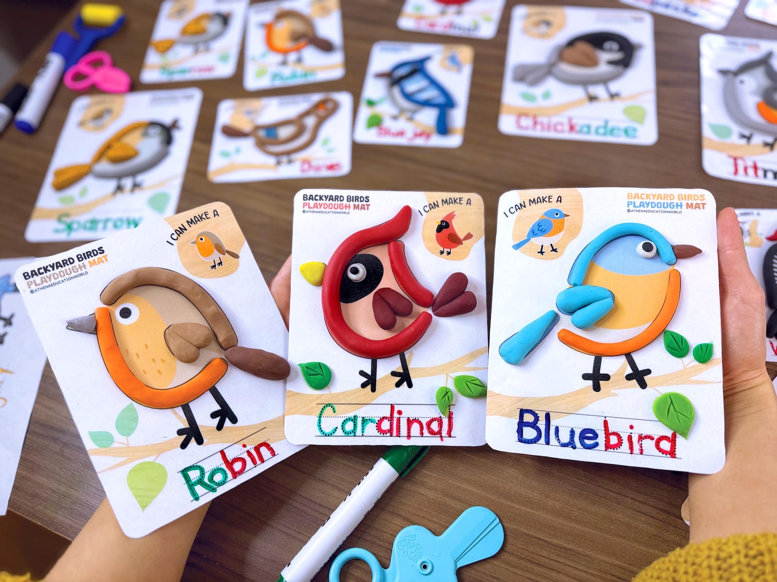 Backyard Birds Playdough Mats Printable,montessori Toddler & Preschool ...