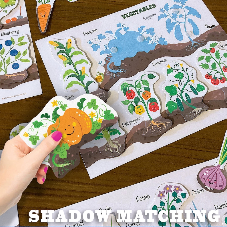 Cute Fruits and Vegetables Sorting Worksheet, Fruits and Vegetable ...