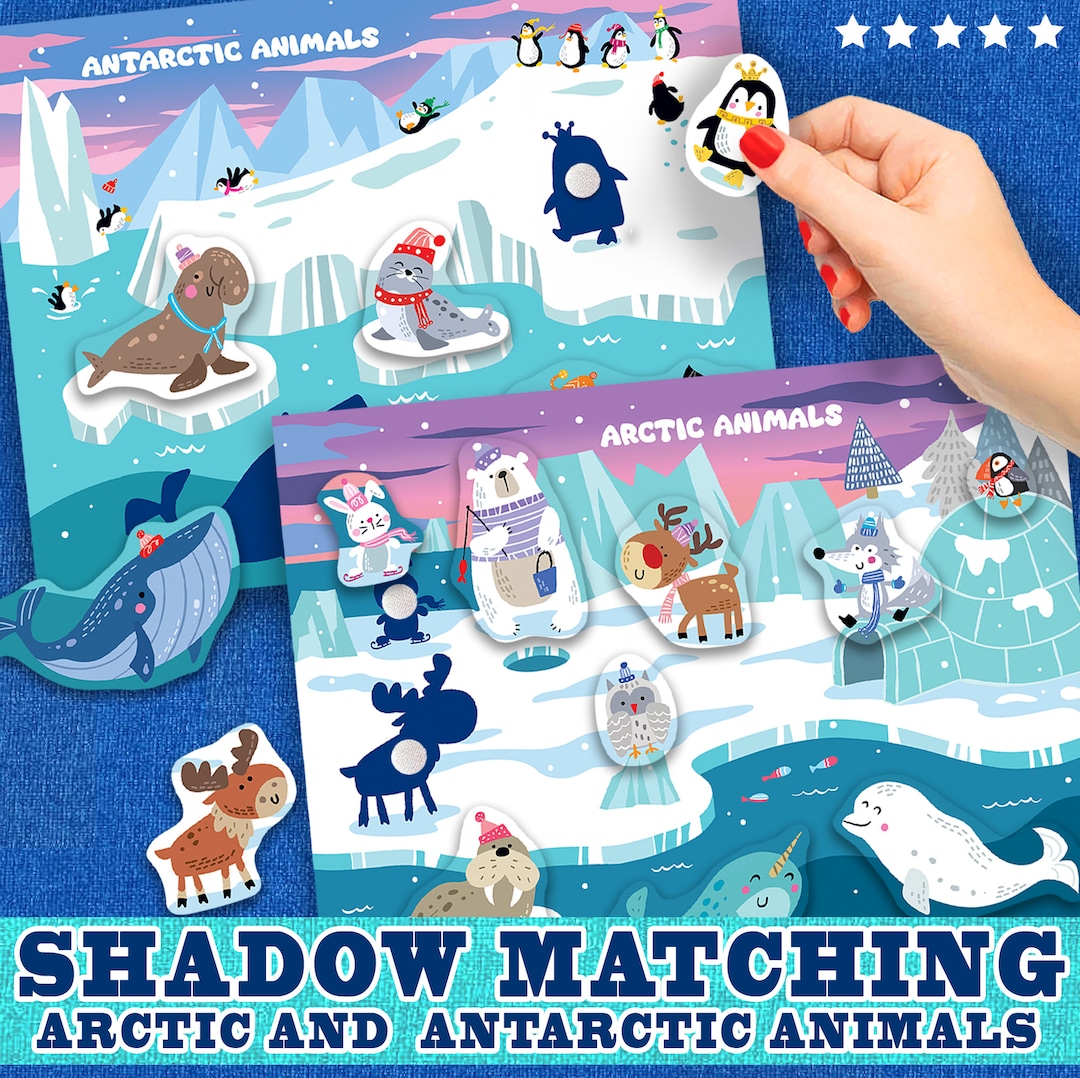 Winter Shadow Matching Print,preschool Curriculum Learning Bundle ...