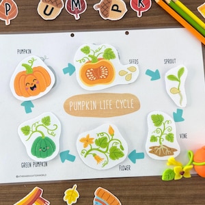 Pumpkin Life Cycle Activity for Kids,fall Preschool Science Printable ...