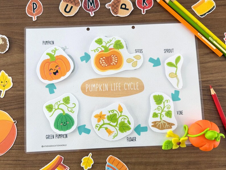 Pumpkin Life Cycle Activity for Kids,fall Preschool Science Printable ...