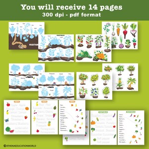 Cute Fruits and Vegetables Sorting Worksheet, Fruits and Vegetable ...