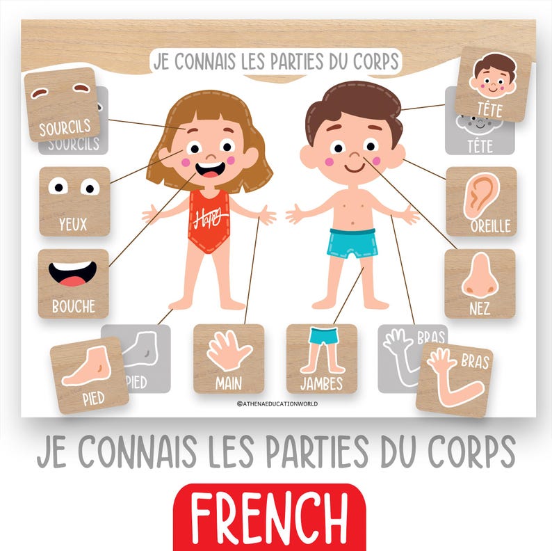 French Body Parts Worksheet,toddler Activity,homeschool Printables ...