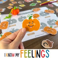 Social Emotional Learning Flashcards | Montessori Emotions Cards for ...