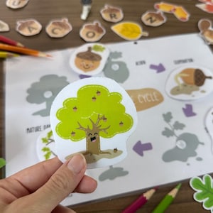 Oak Tree Life Cycle Printable,montessori Science Activity, Preschool ...