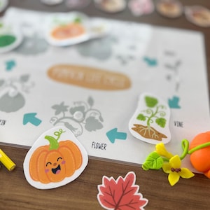 Pumpkin Life Cycle Activity for Kids,fall Preschool Science Printable ...