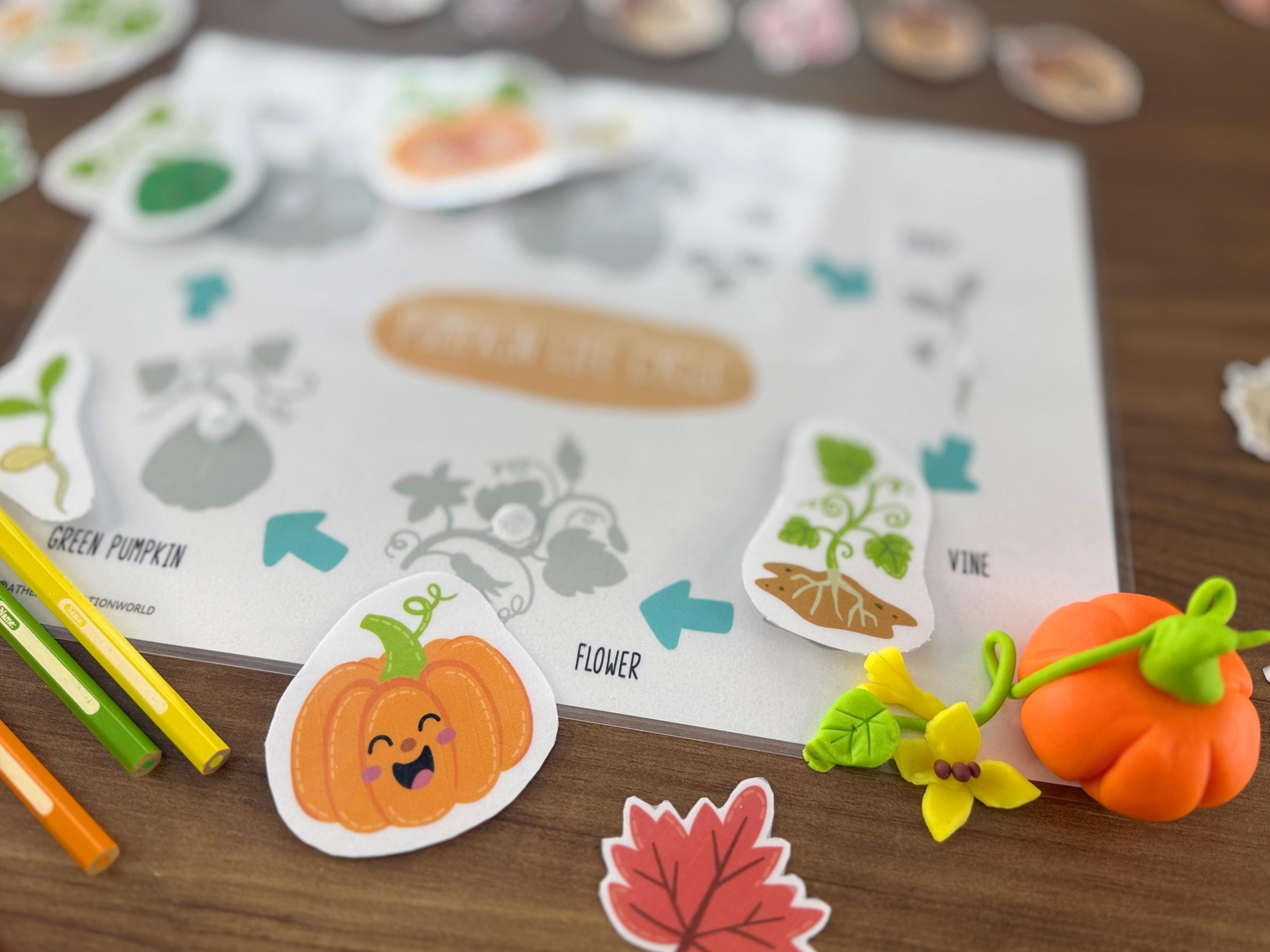 Pumpkin Life Cycle Activity for Kids,fall Preschool Science Printable ...