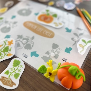 Pumpkin Life Cycle Activity for Kids,fall Preschool Science Printable ...
