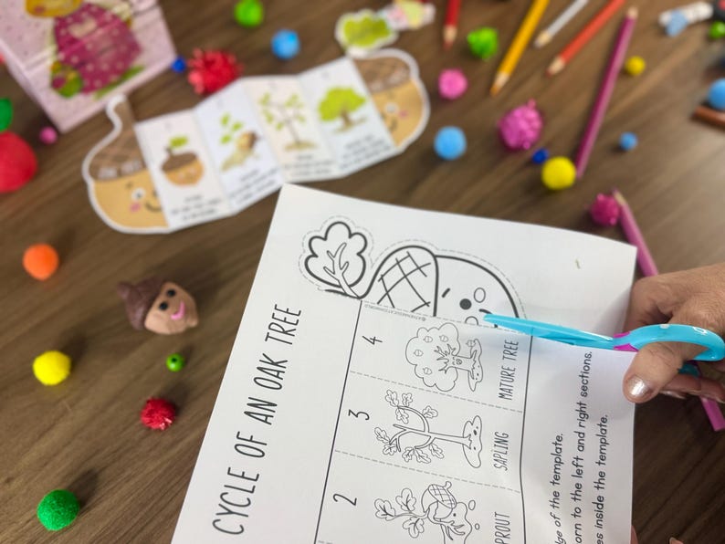 Oak Tree Life Cycle Printable Foldout | Interactive Acorn Growth Chart ...